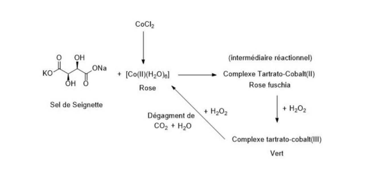 Montage de chimie