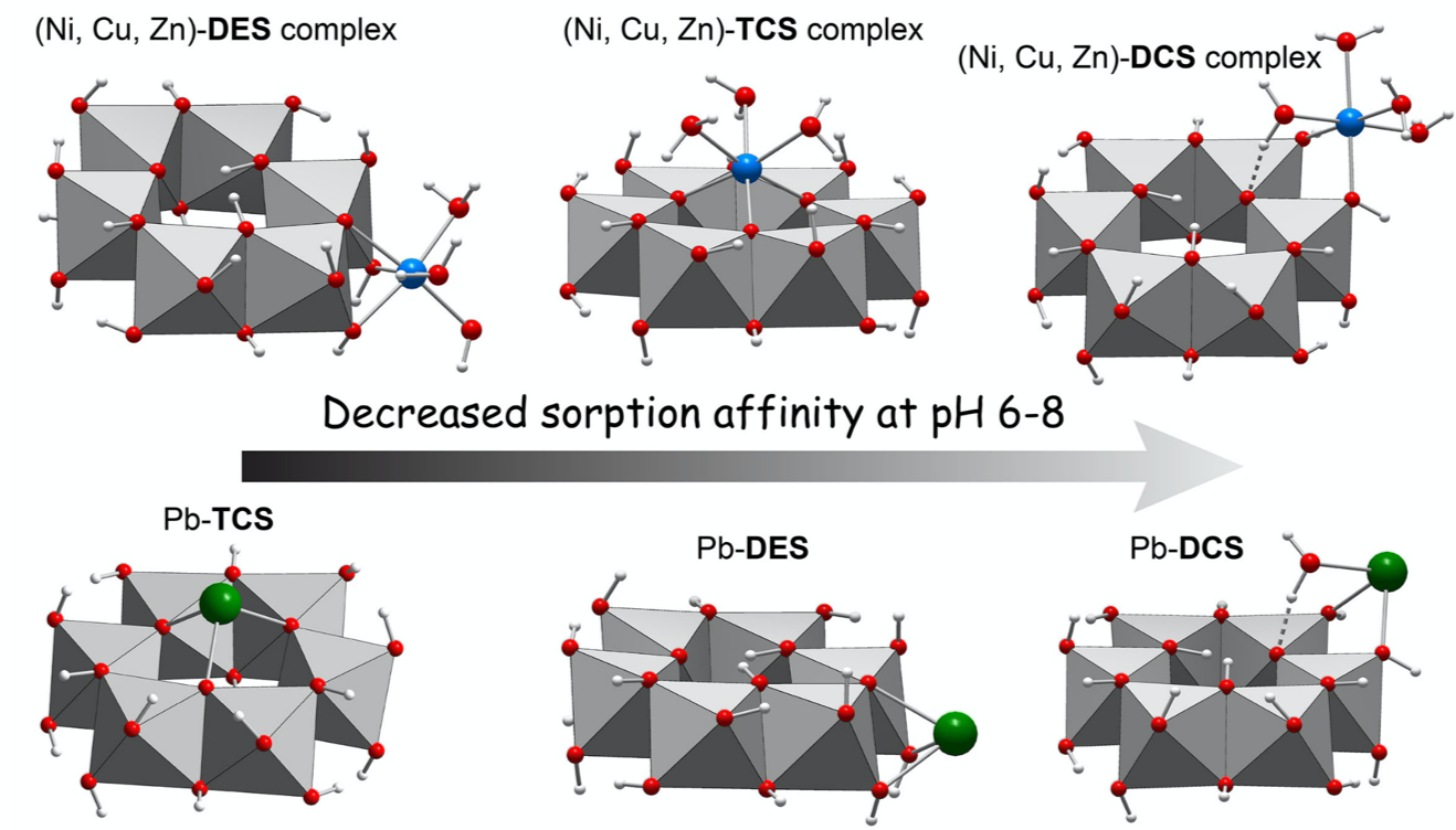 Metal Ion adsorption on Birnessite (d-MnO2) – Stephan N. Steinmann